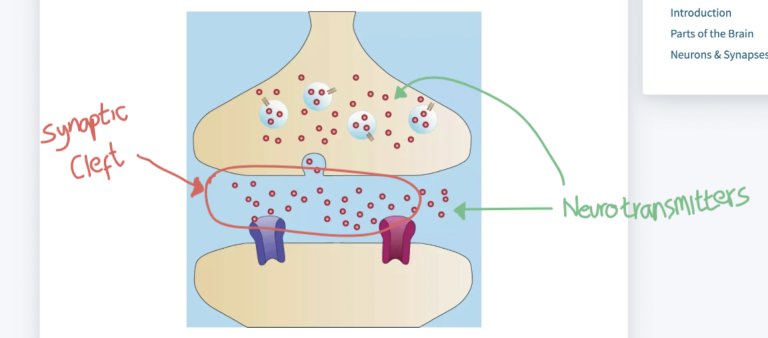 Broadcast update - Google Slides & Classroom integrations + new annotation tools - DisplayNote