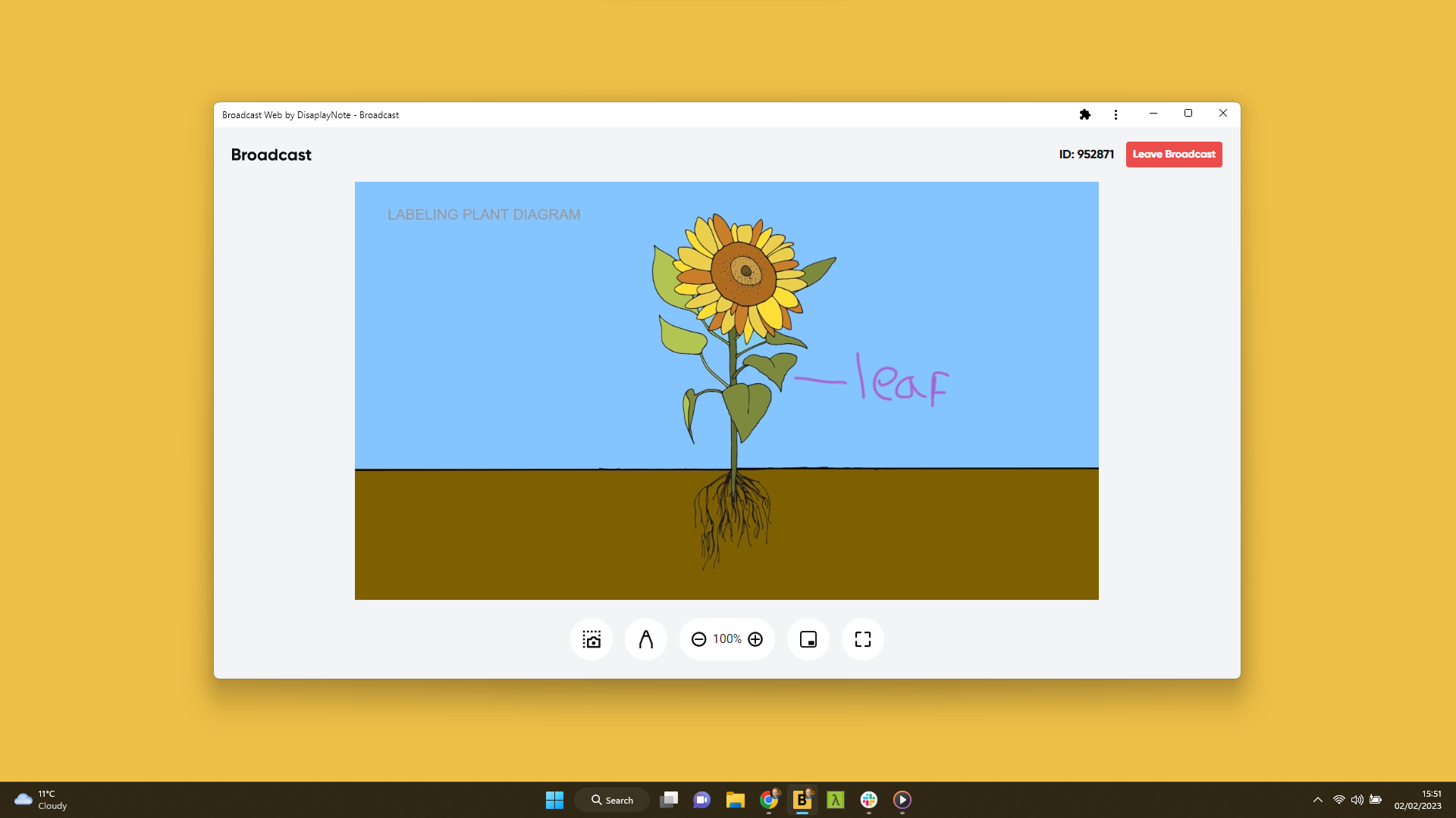 Improved client view features in Broadcast update - DisplayNote