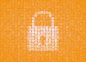 Embedded solutions + SDKs • Software partner - DisplayNote Technologies